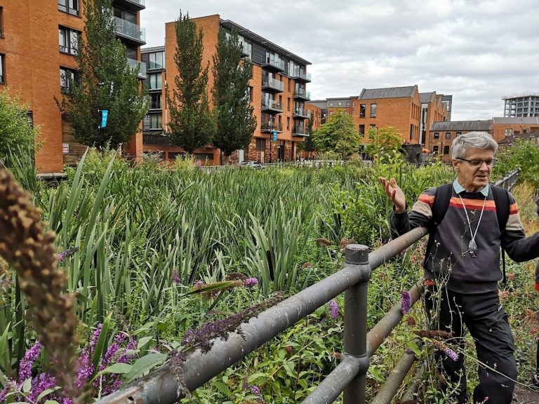 Latest from Sheffield Green Party